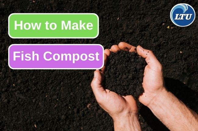 8 Steps to Make Your Fish Waste Into Compost