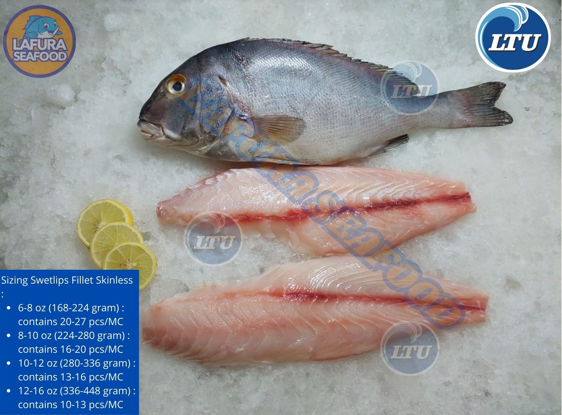 Sweetlips Fillet Skinless